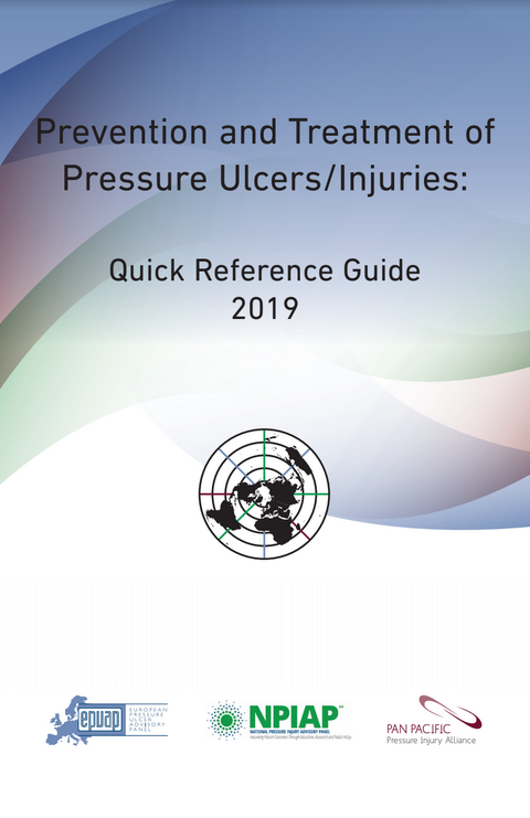 International PI Guideline — Pan Pacific Pressure Injury Alliance