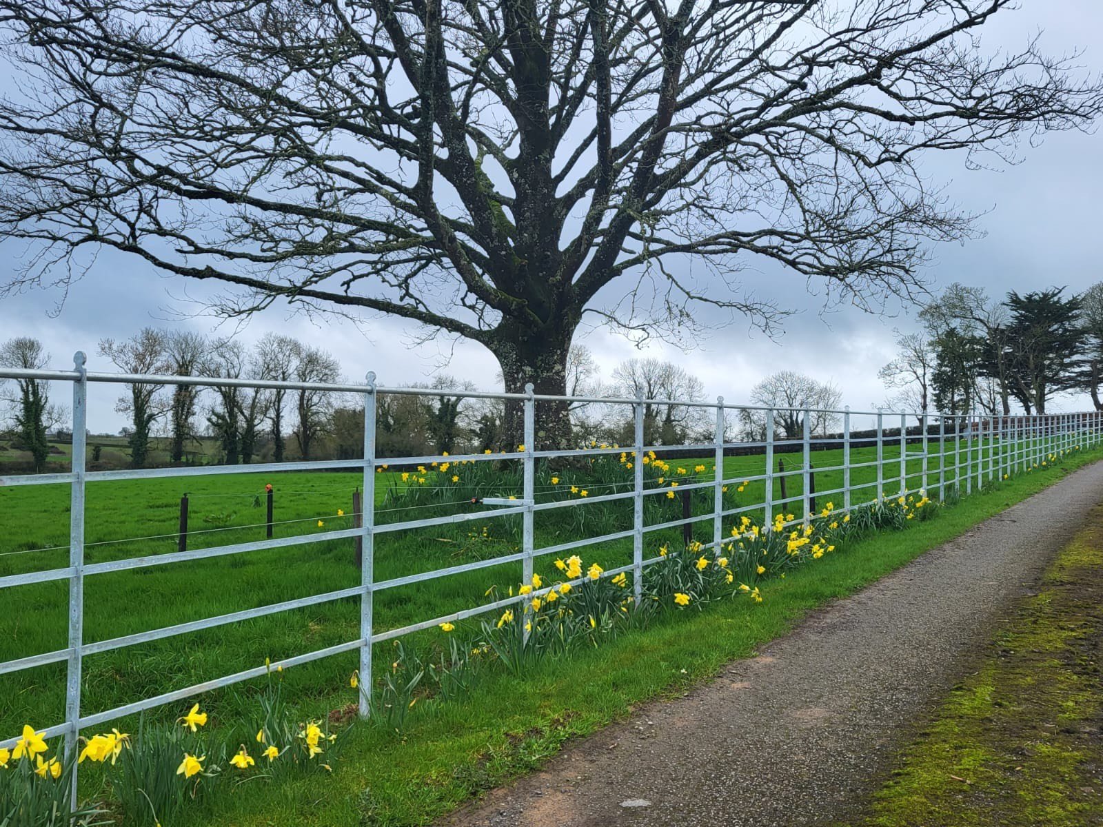 Estate Fencing — Cooper Fencing