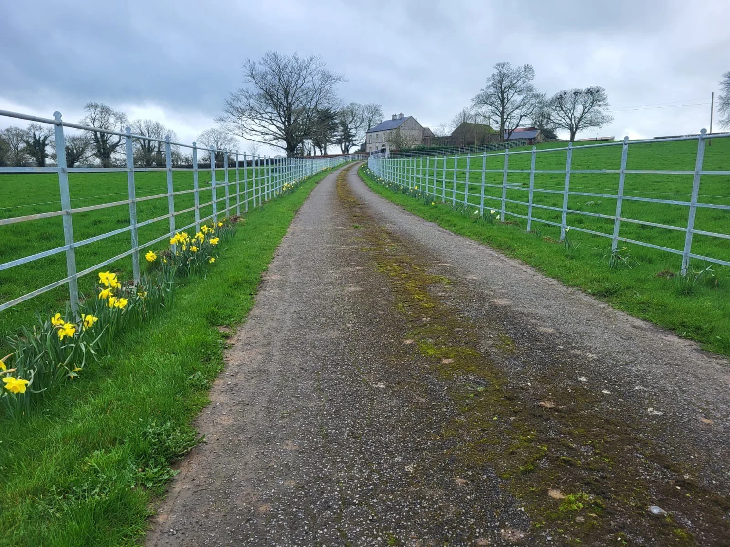Estate Fencing — Cooper Fencing