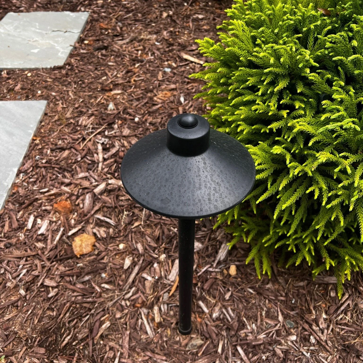 Professionally Designed & Installed Pathway Lighting — Light Your Nights