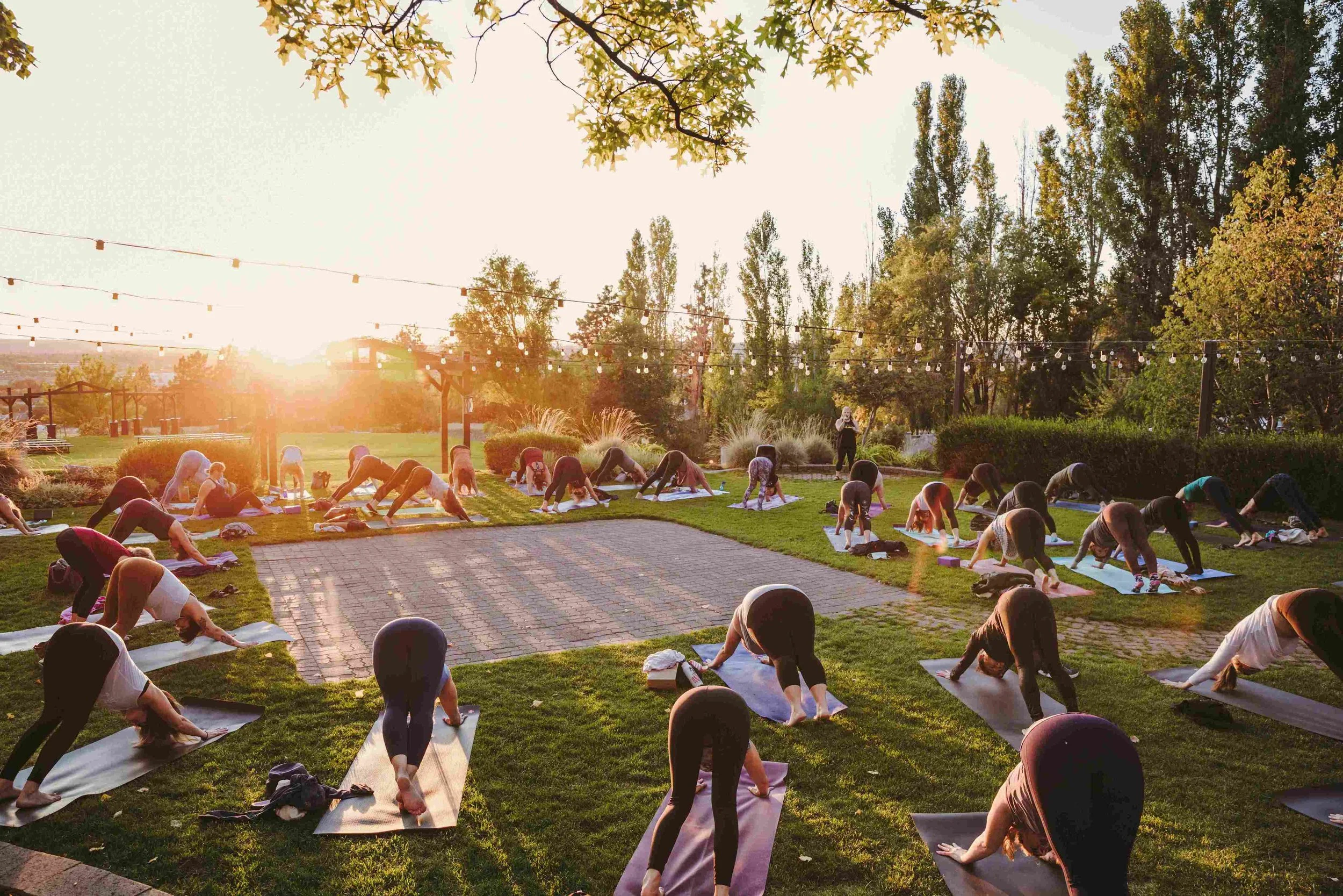 Spokane Yoga Events & Workshops — Eclipse Power Yoga