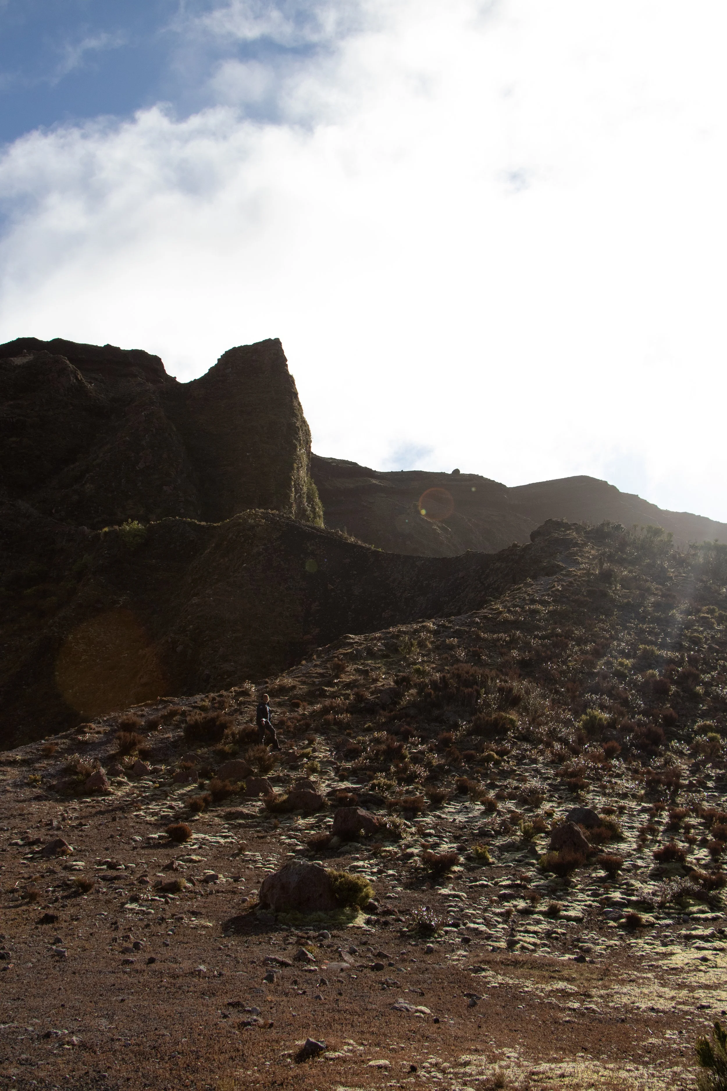 About — Pou Tangata