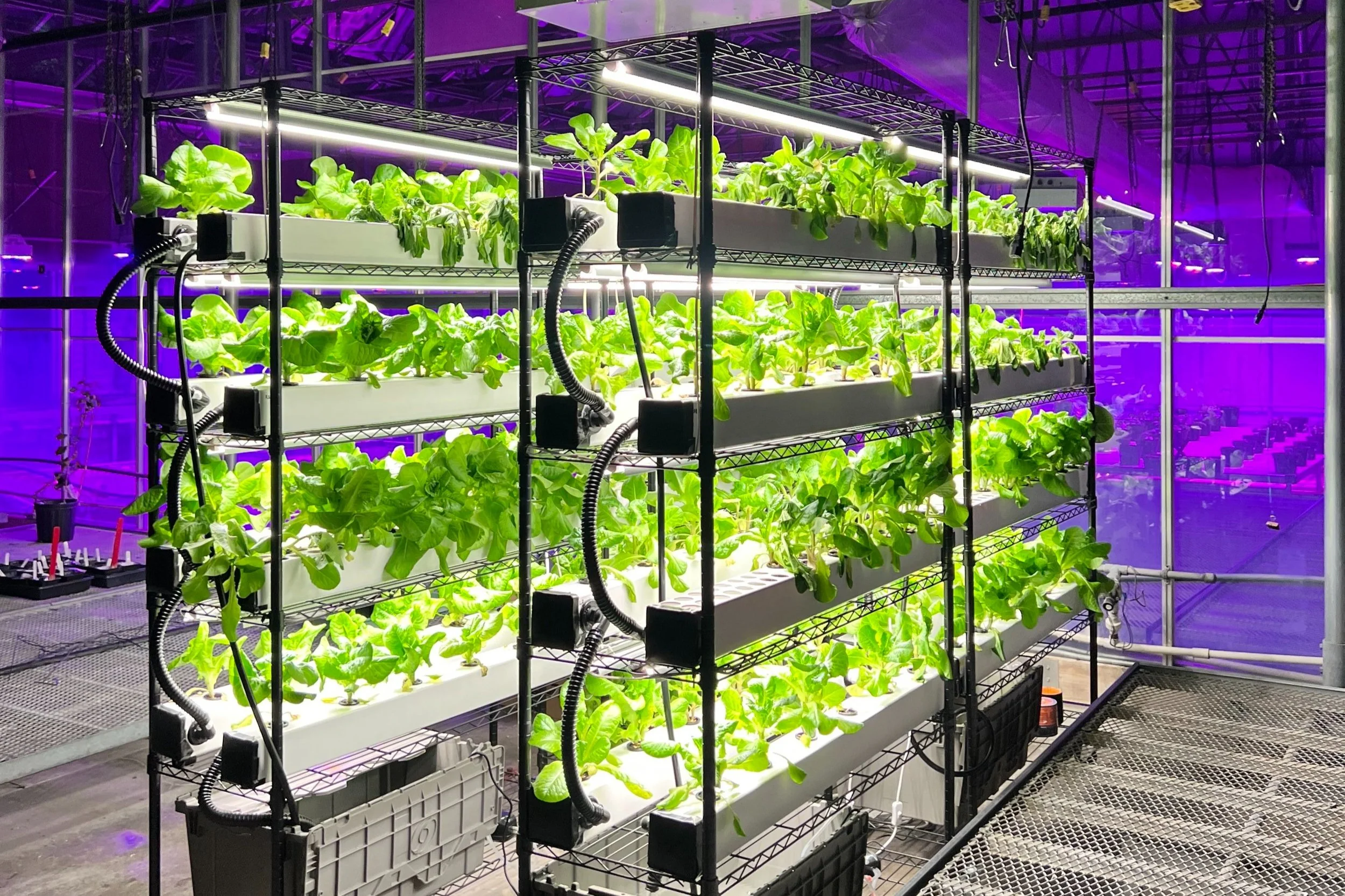 Vertical Farming at Berkeley