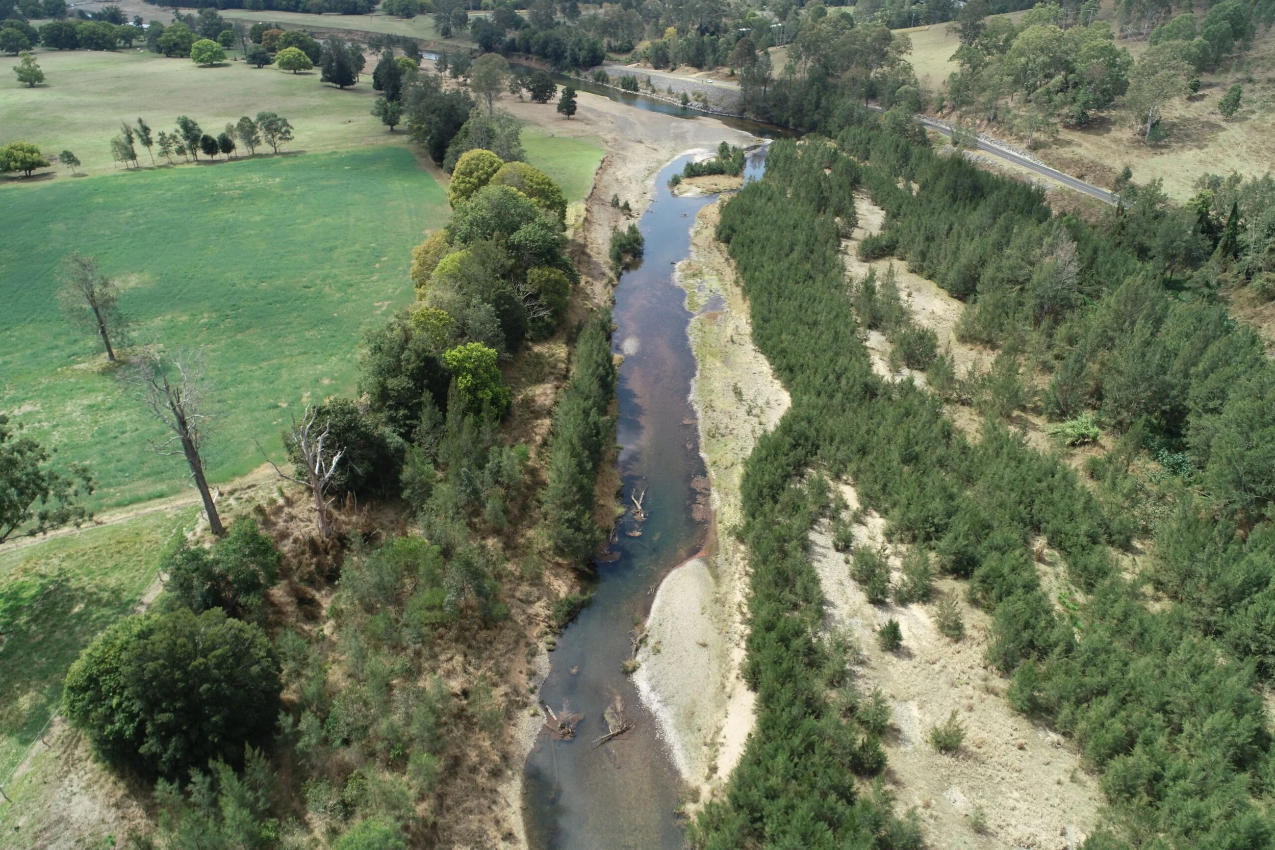 Mary River Recovery Project — BMRG
