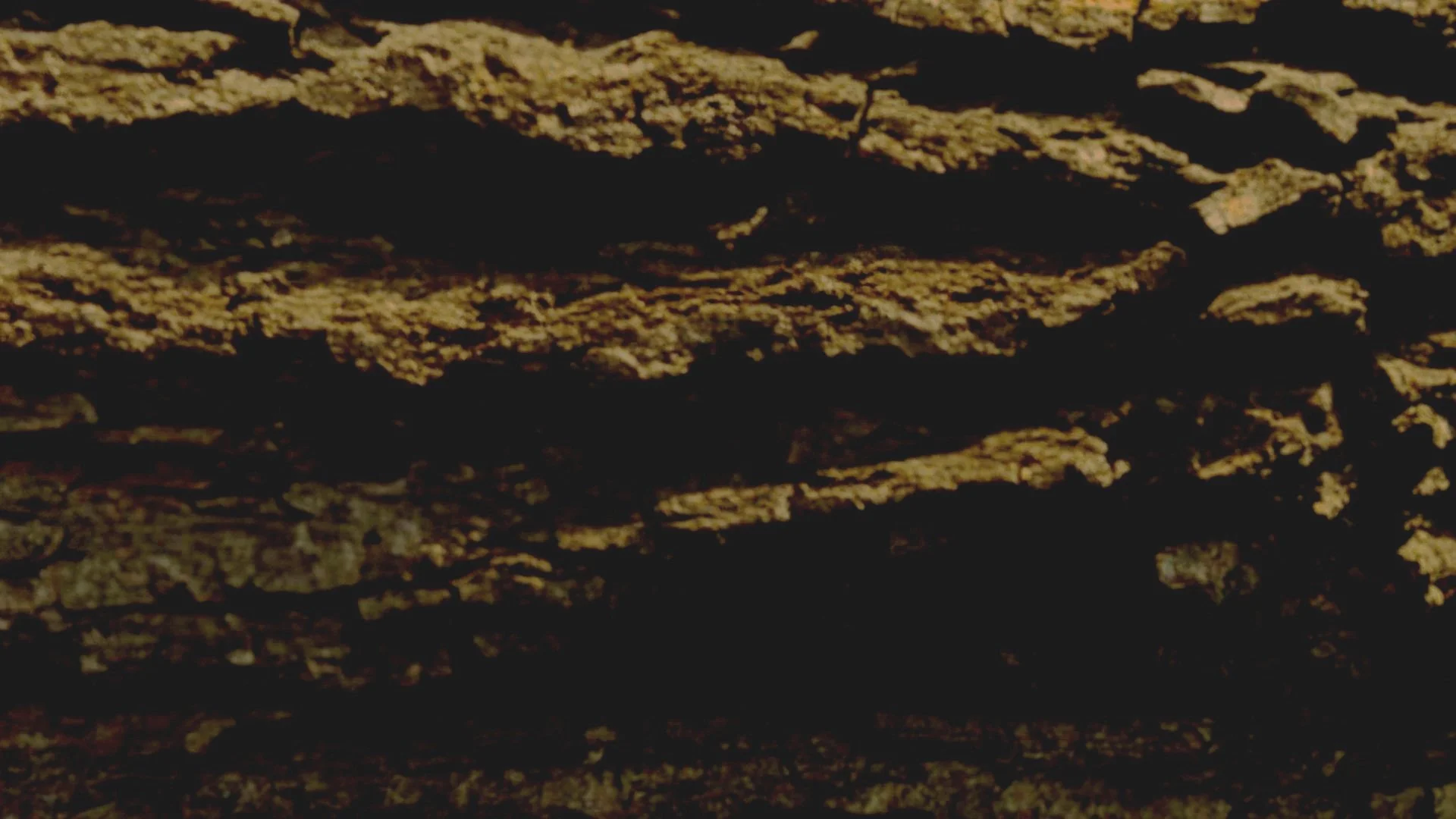 Toro Massage Therapie | Therapeutische Massagen & ReflexzonentherapieZürich