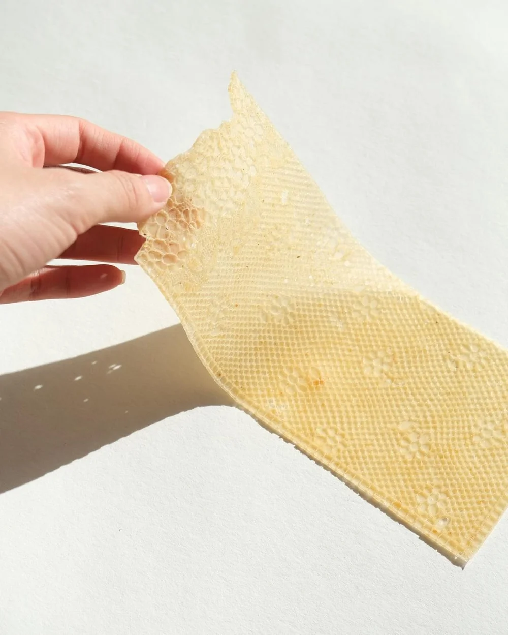 Milk leather - Zhixin Xue — Art and Materials Lab 材料研究室