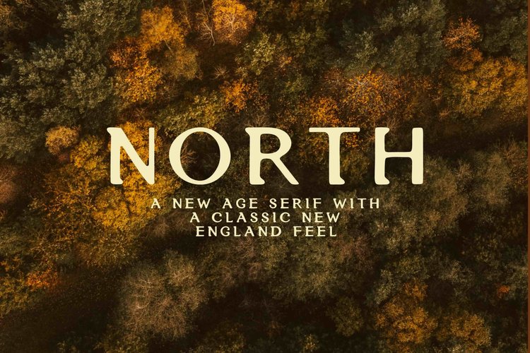 CAMP Font: Embrace the Adventure and Nostalgia of the Great Outdoors ...