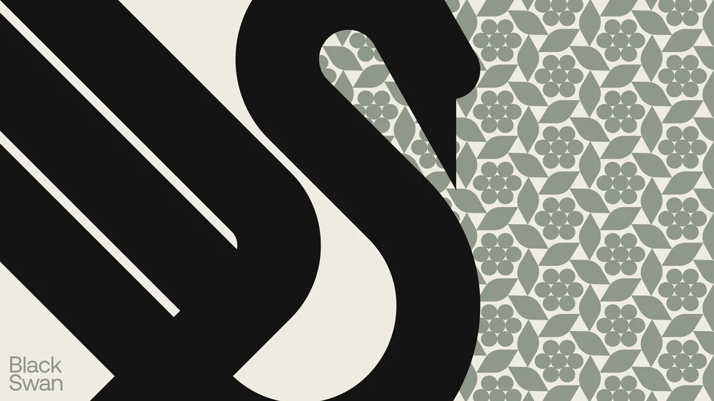 Black Swan — Jay Fletcher