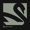 Black Swan — Jay Fletcher