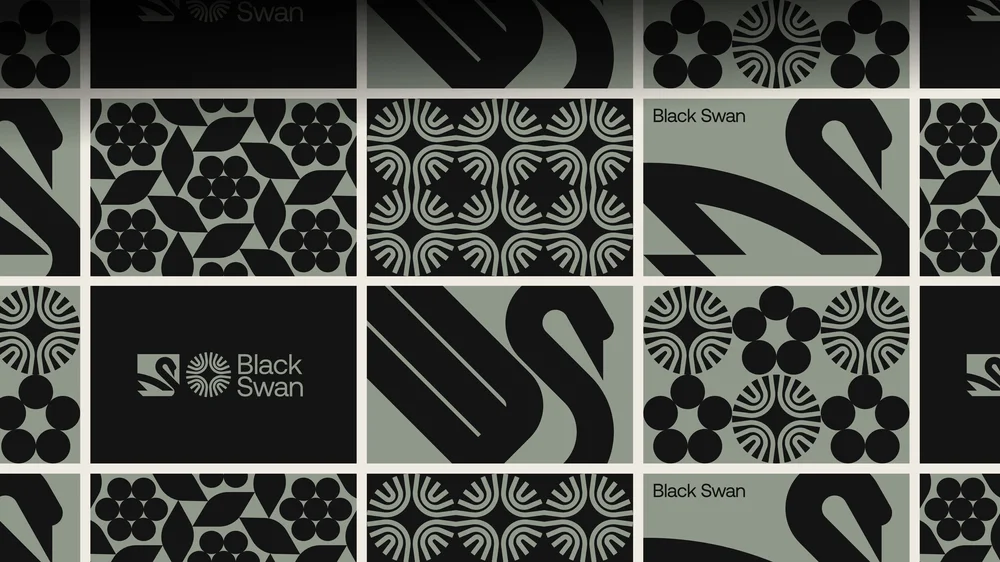Black Swan — Jay Fletcher