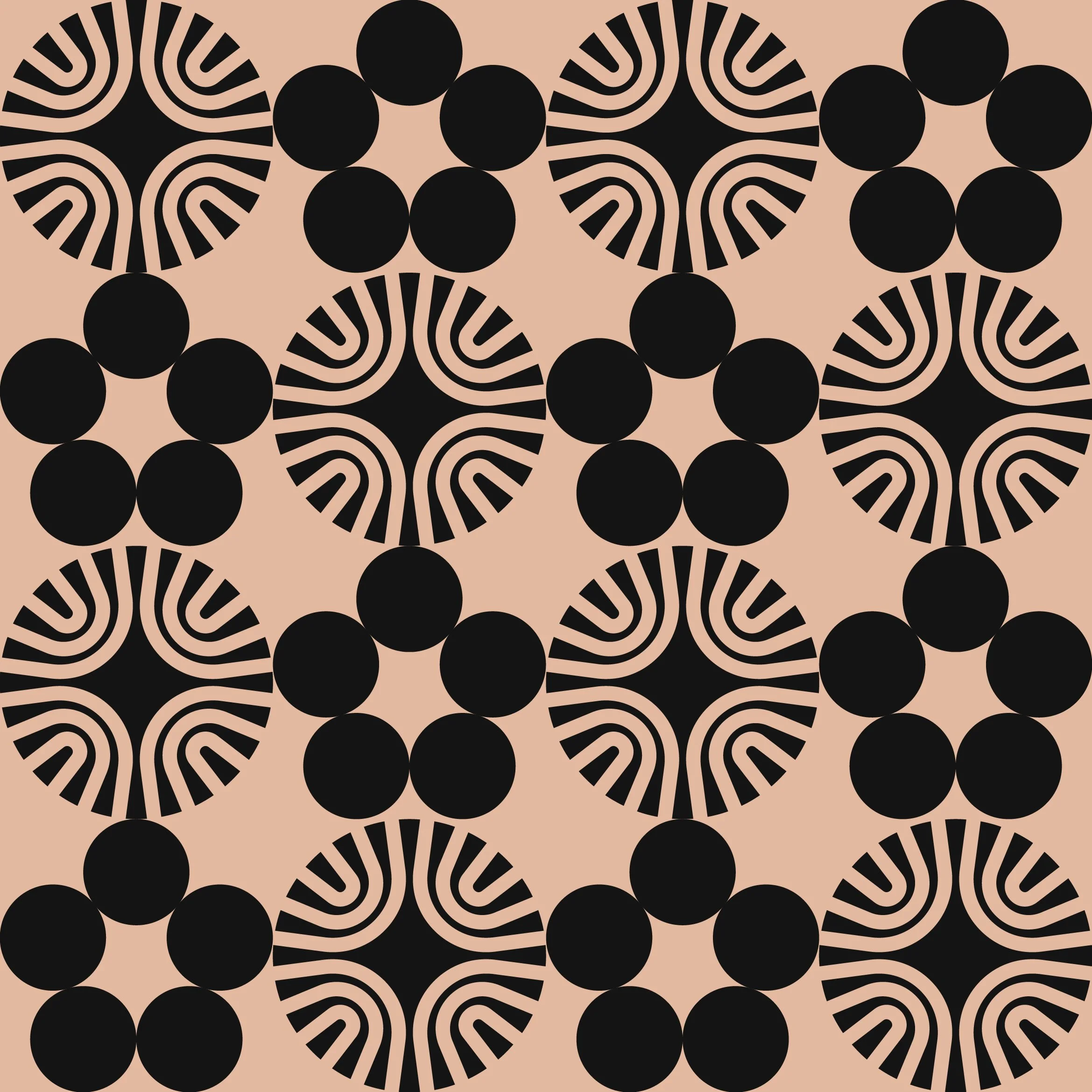 Black Swan — Jay Fletcher