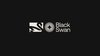Black Swan — Jay Fletcher