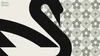 Black Swan — Jay Fletcher