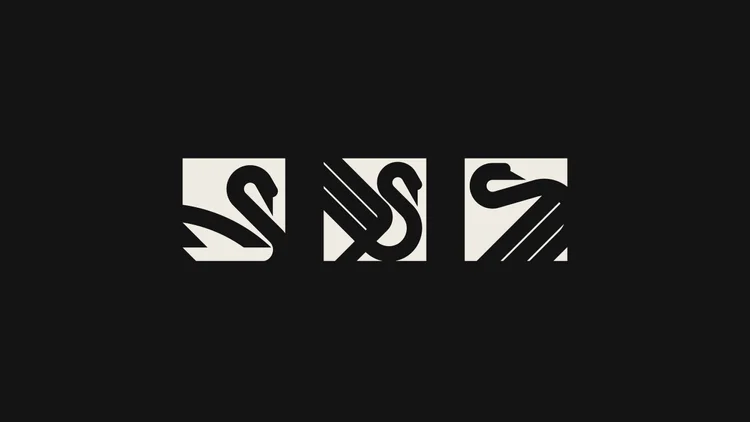 Black Swan — Jay Fletcher