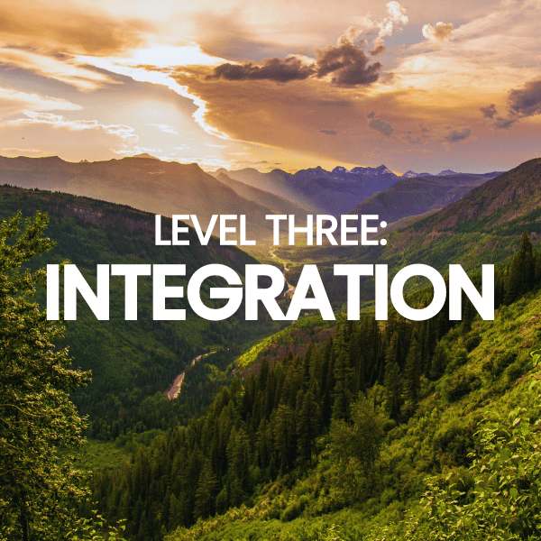 Summer Workshop Series — Awareness Institute