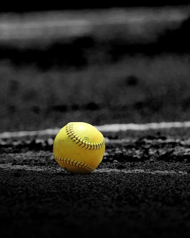 Baseball / Softball Lessons — BEAST ATHLETICS