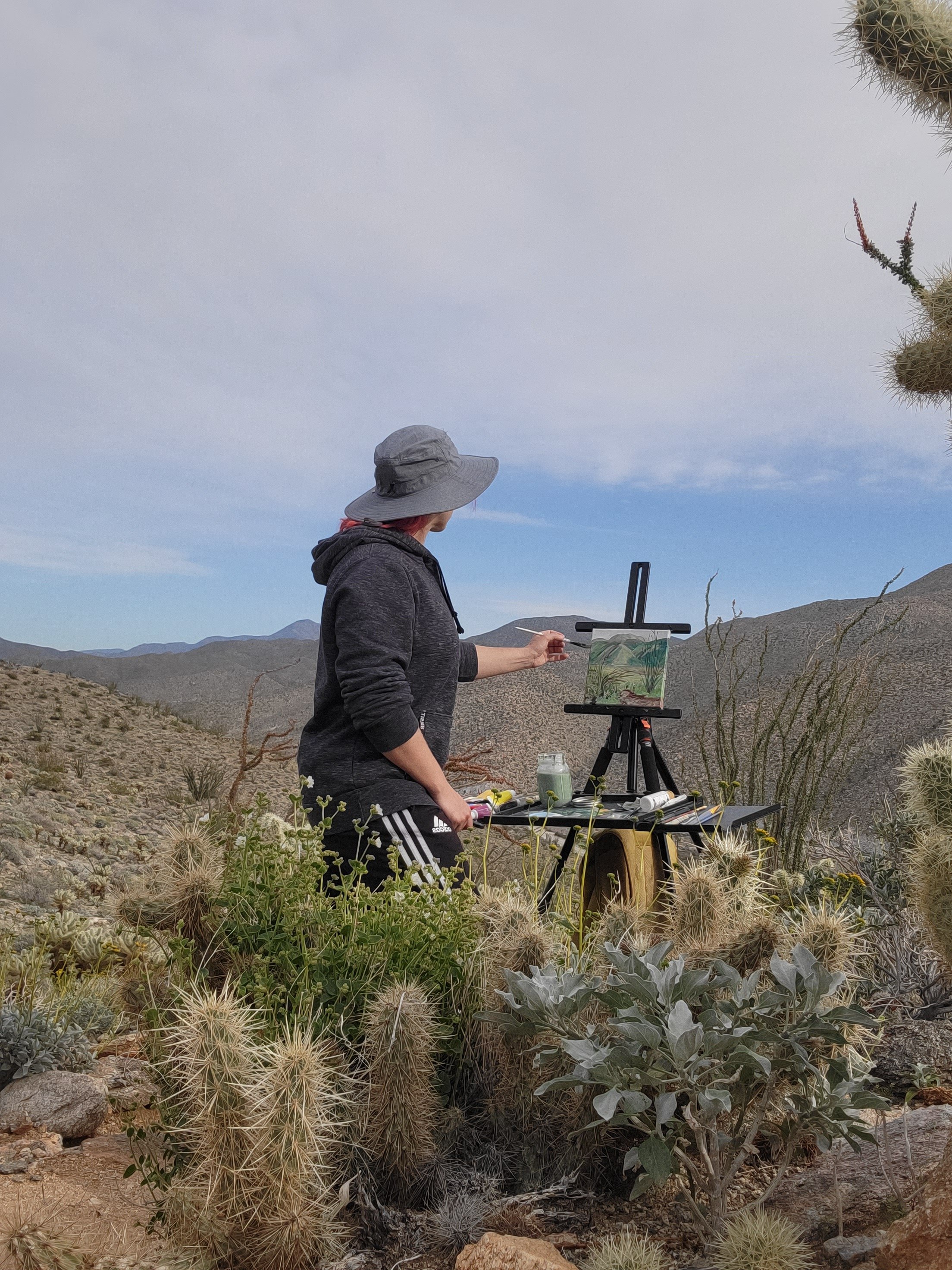 Custom Murals by Helen Snell