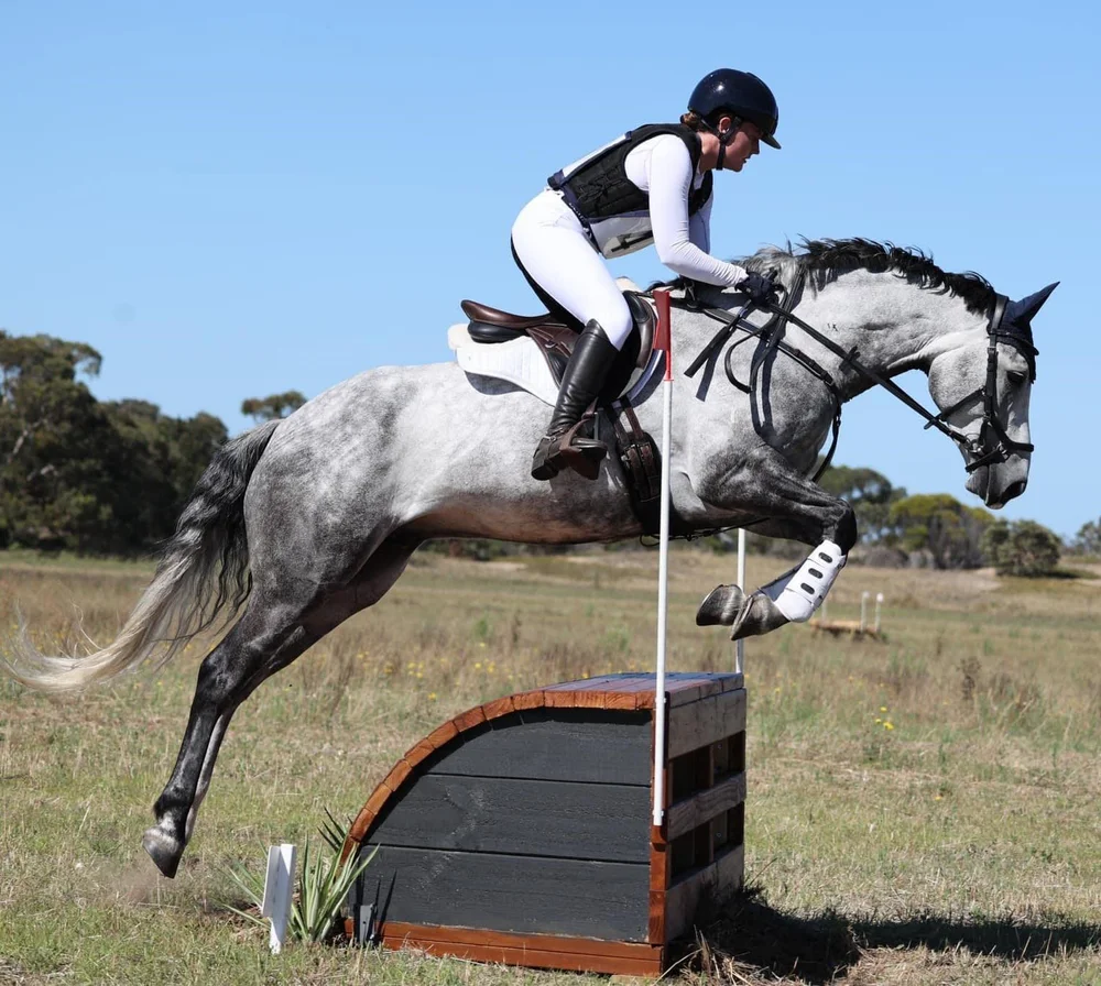 Ambassadors — Elite Equine Bedding