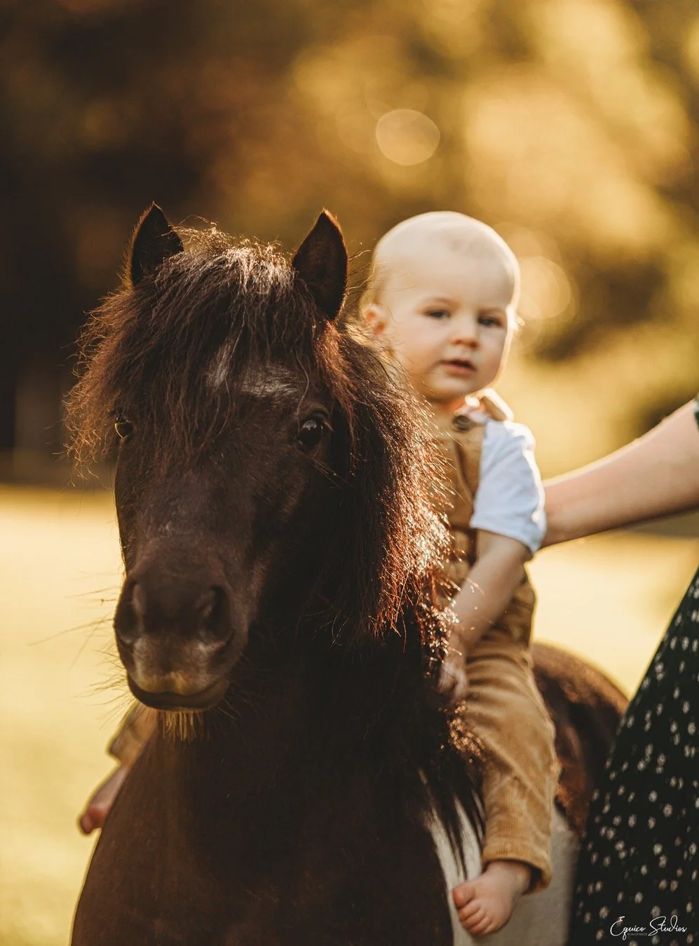 The Team — Sparkles & Co