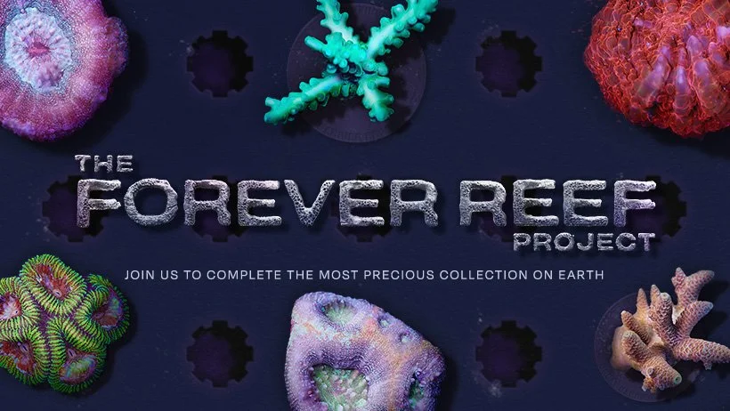 Great Barrier Reef Legacy — Crystalbrook Collection | Superyacht Marina