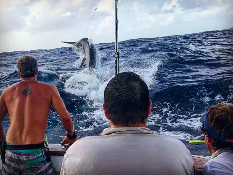 Reel Chase Charters — Crystalbrook Collection | Superyacht Marina