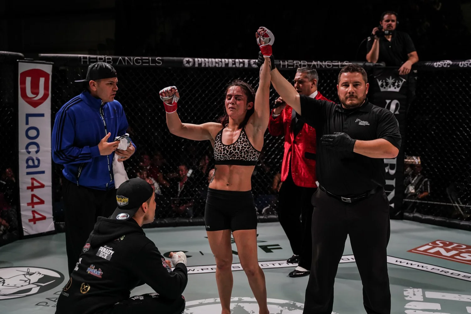 Mixed Martial Arts Photography - Windsor Ontario — Mark Ruddick Photography