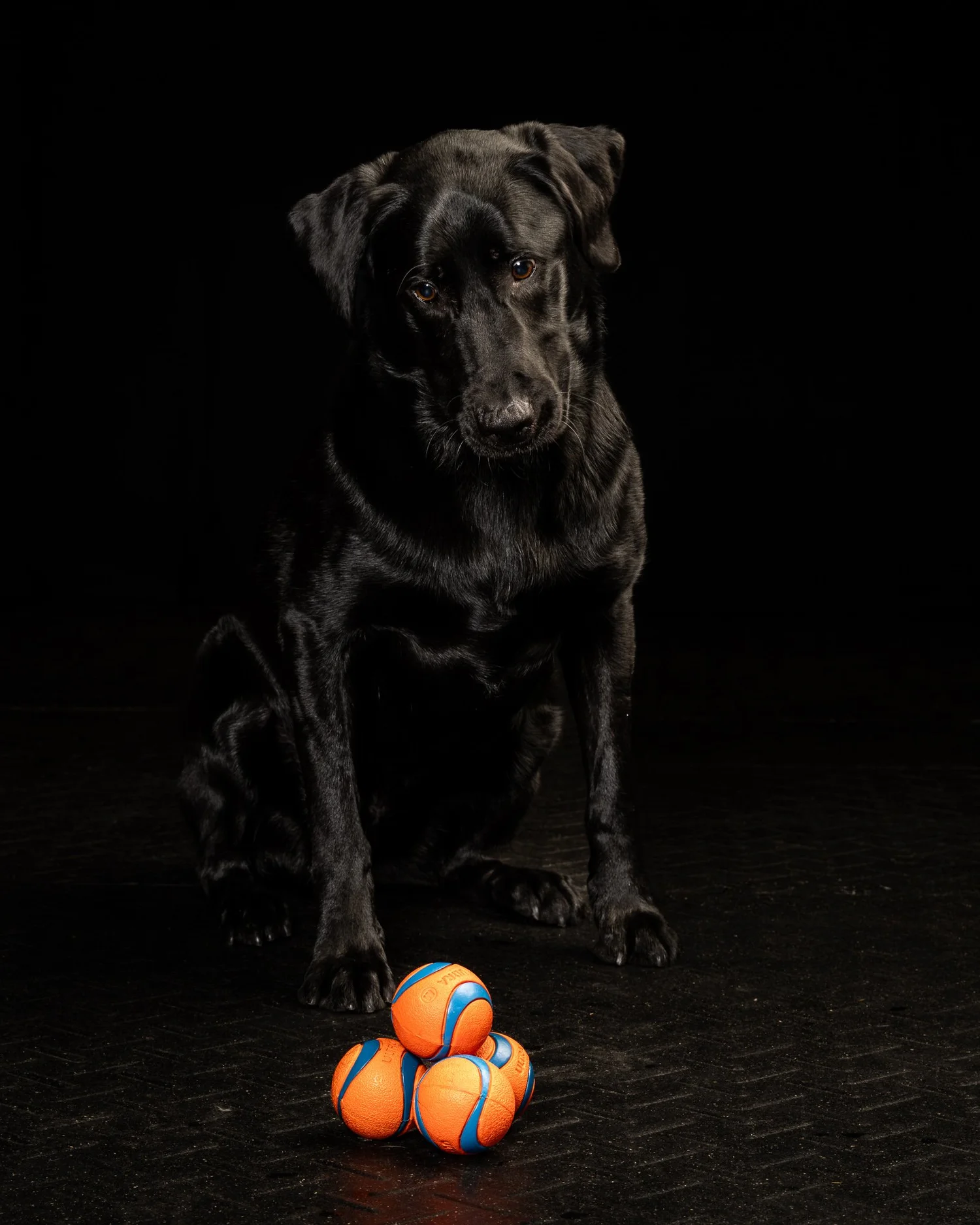 Mark Ruddick Photography - Blog — Mark Ruddick Photography