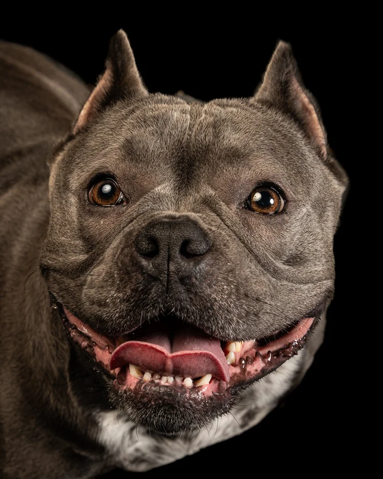 Mark Ruddick Photography - Blog — Mark Ruddick Photography