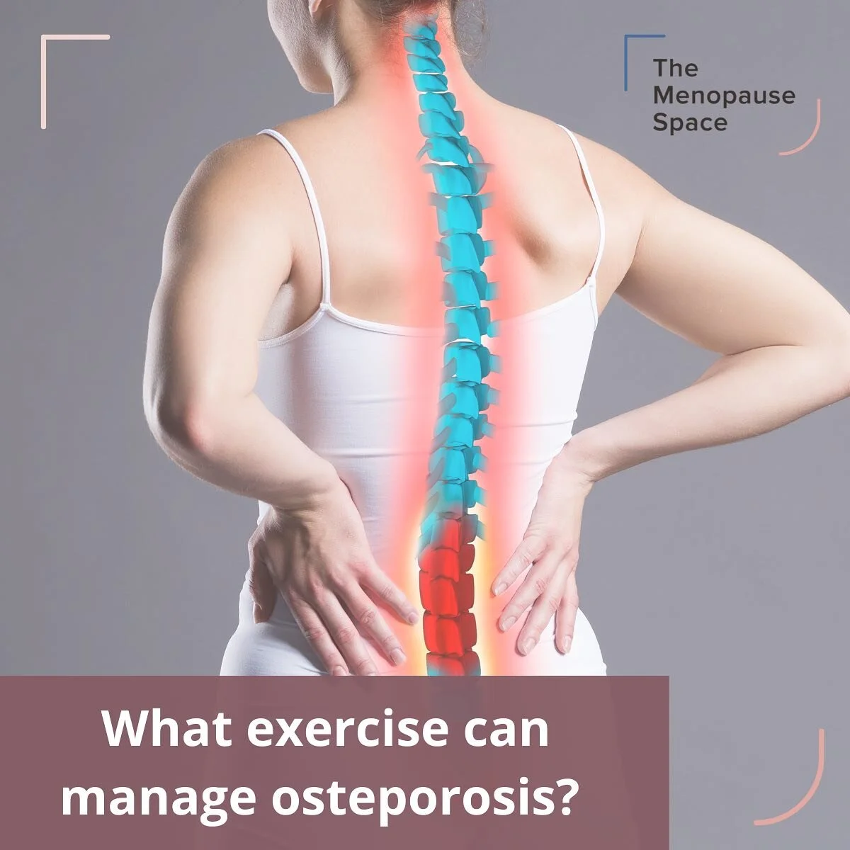 Menopause Practitioner Directory — The Menopause Space