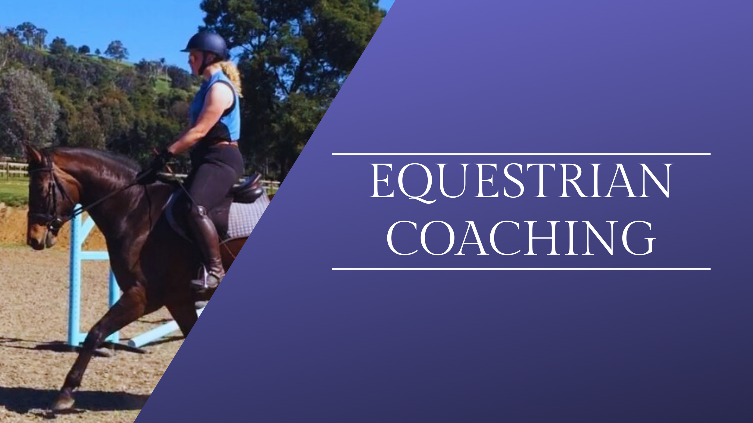 | Equestrian Coaching | Enhance Your Riding Confidence Today — Equine EQ