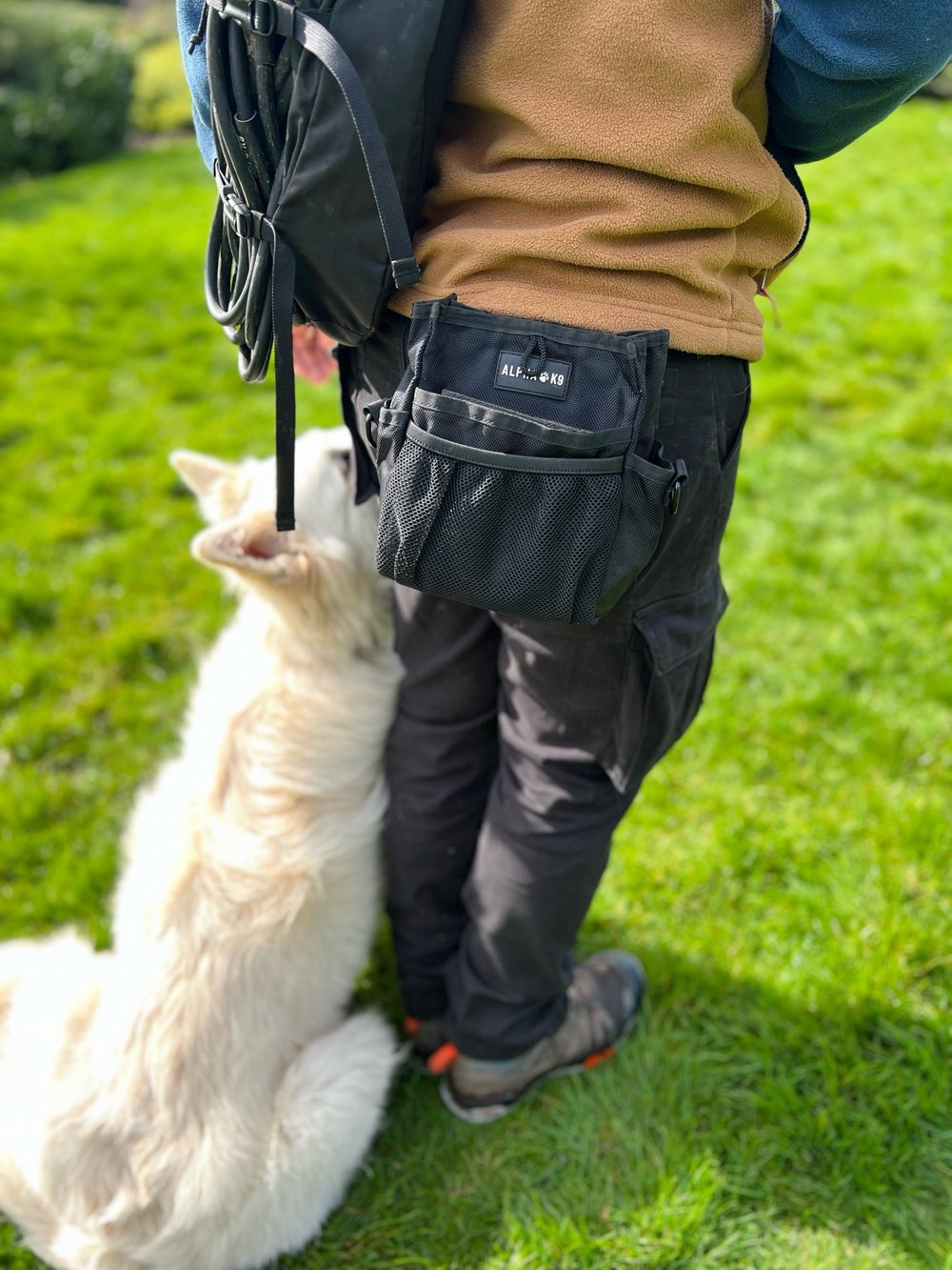 ALPHA K9 - Dog Collars | Dog Leads | Dog Training Products | Long Lines ...