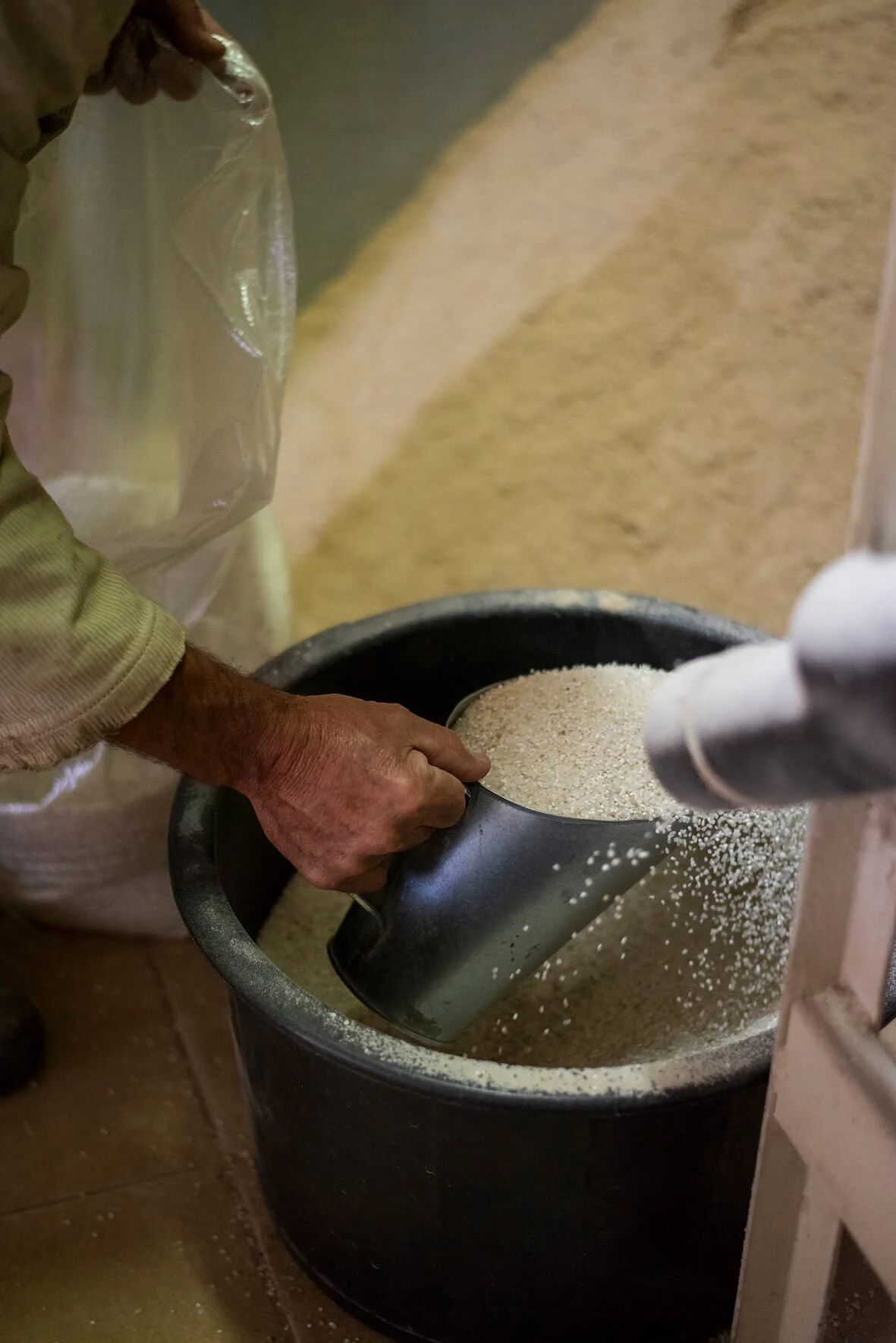 jorge viera and his carolino rice — NEW DAWN TRADERS