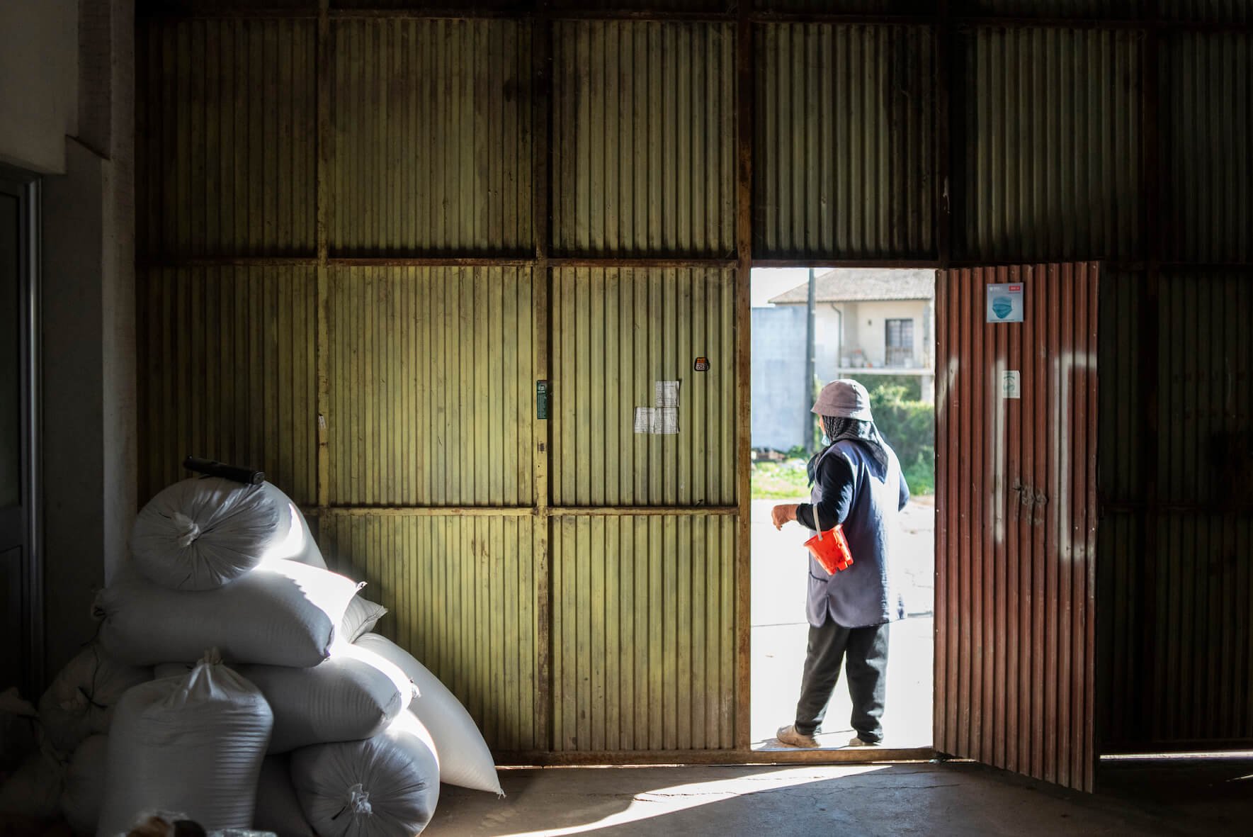 jorge viera and his carolino rice — NEW DAWN TRADERS