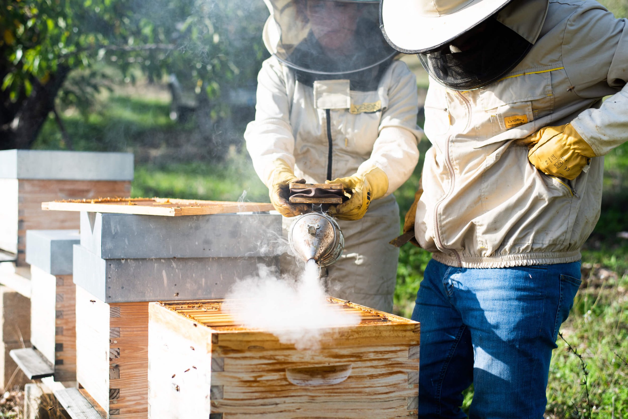 Beekeepers Éme and their pollinator friends — NEW DAWN TRADERS