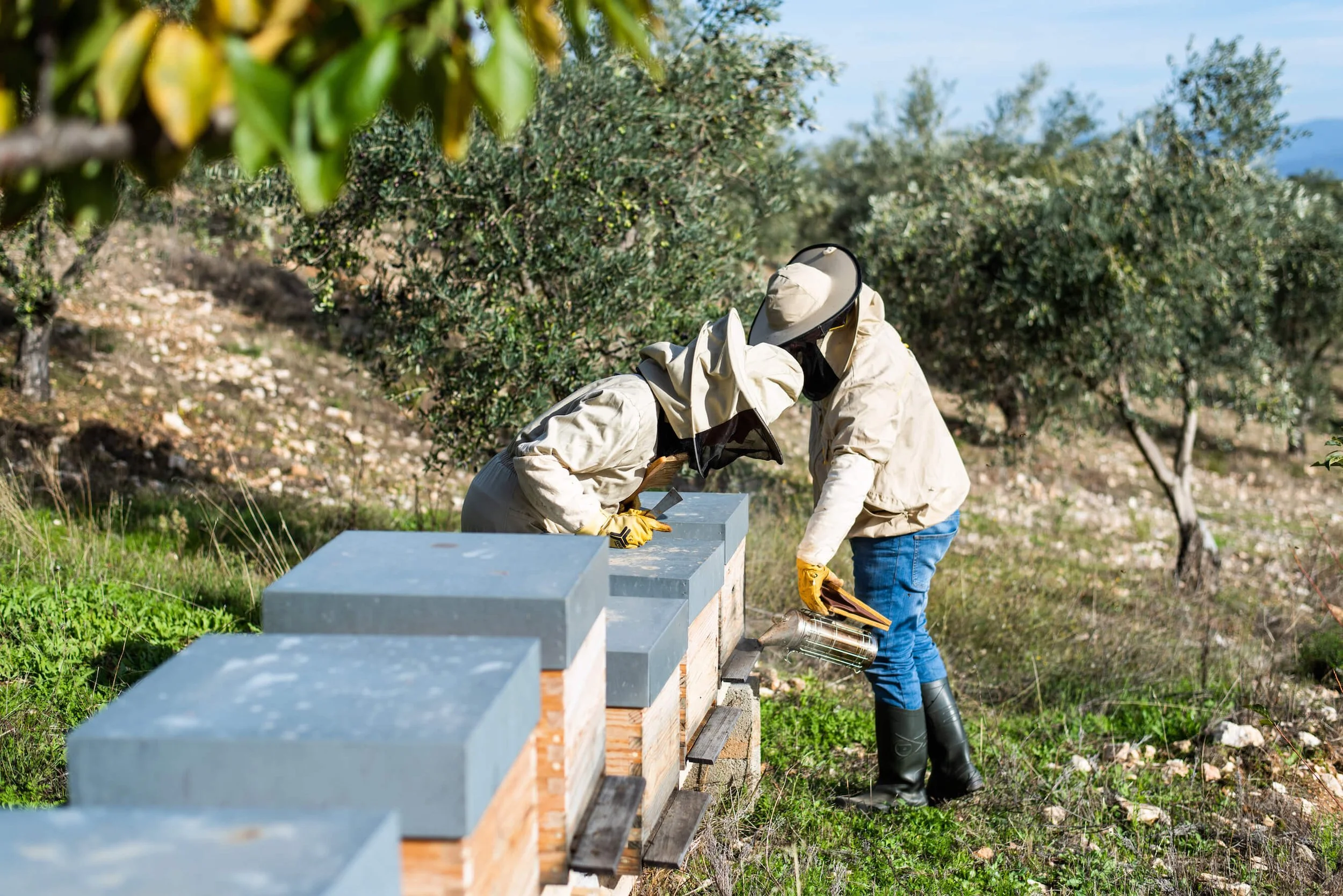 Beekeepers Éme and their pollinator friends — NEW DAWN TRADERS