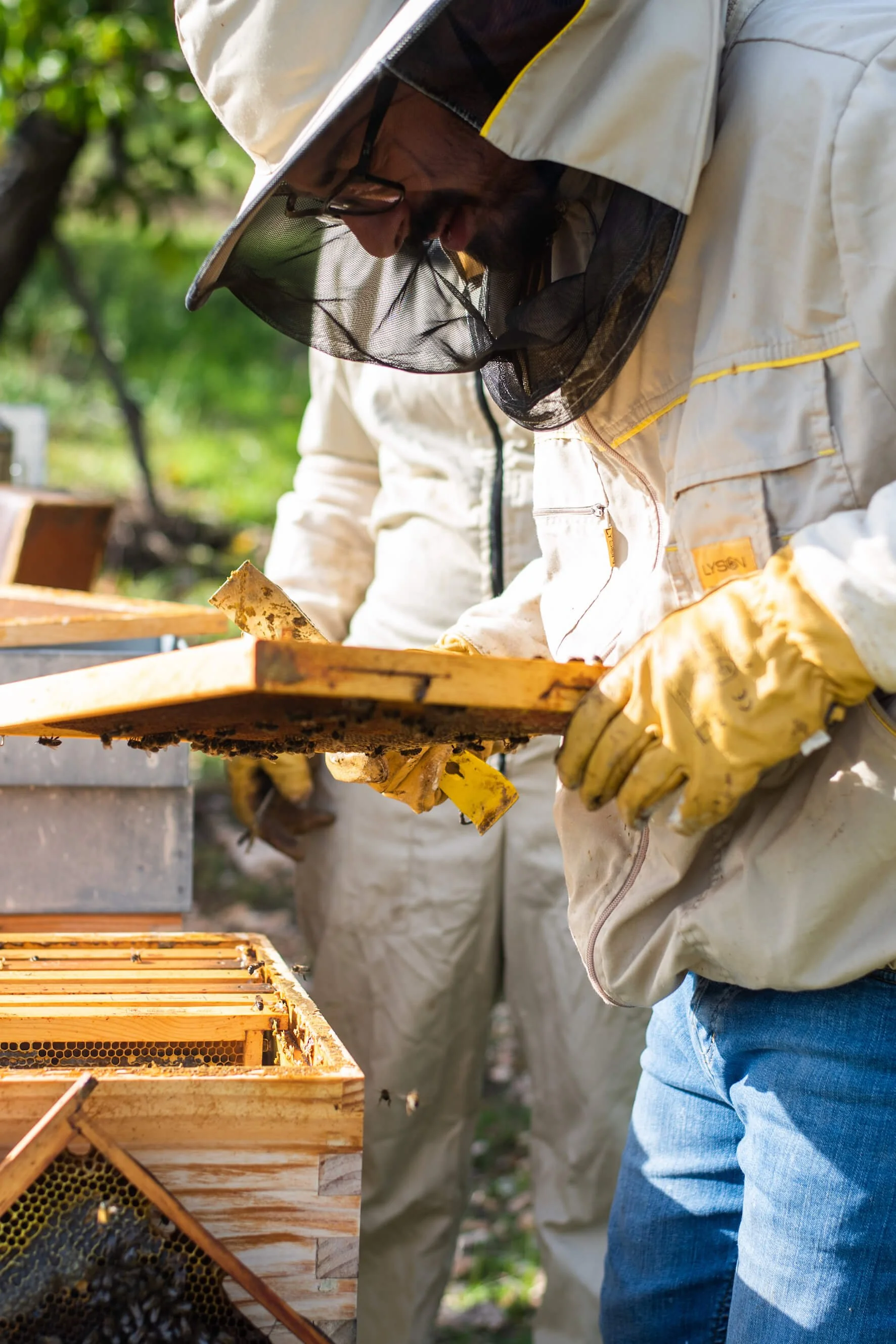 Beekeepers Éme and their pollinator friends — NEW DAWN TRADERS