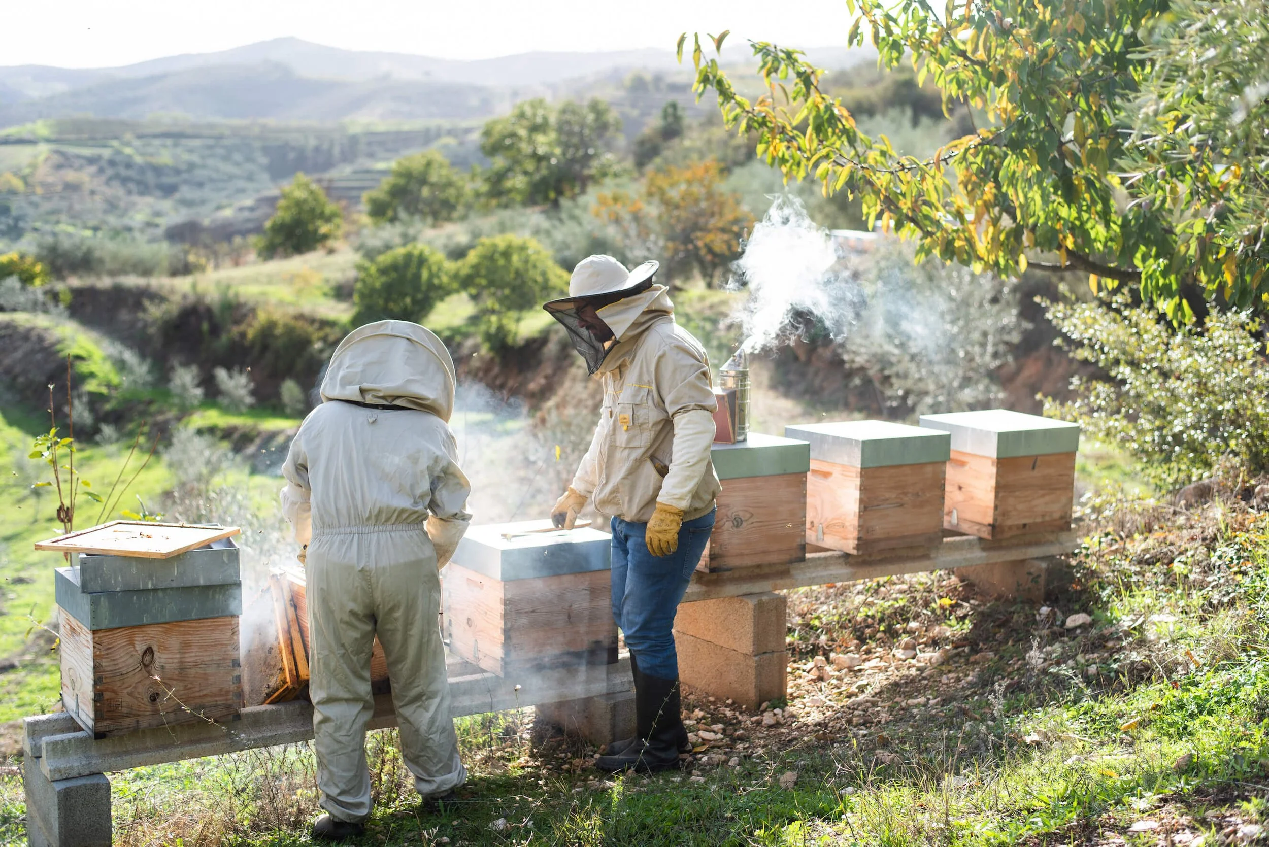 Beekeepers Éme and their pollinator friends — NEW DAWN TRADERS