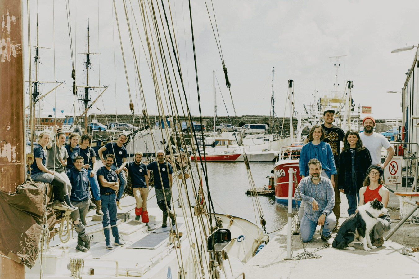 Our Story — NEW DAWN TRADERS — NEW DAWN TRADERS