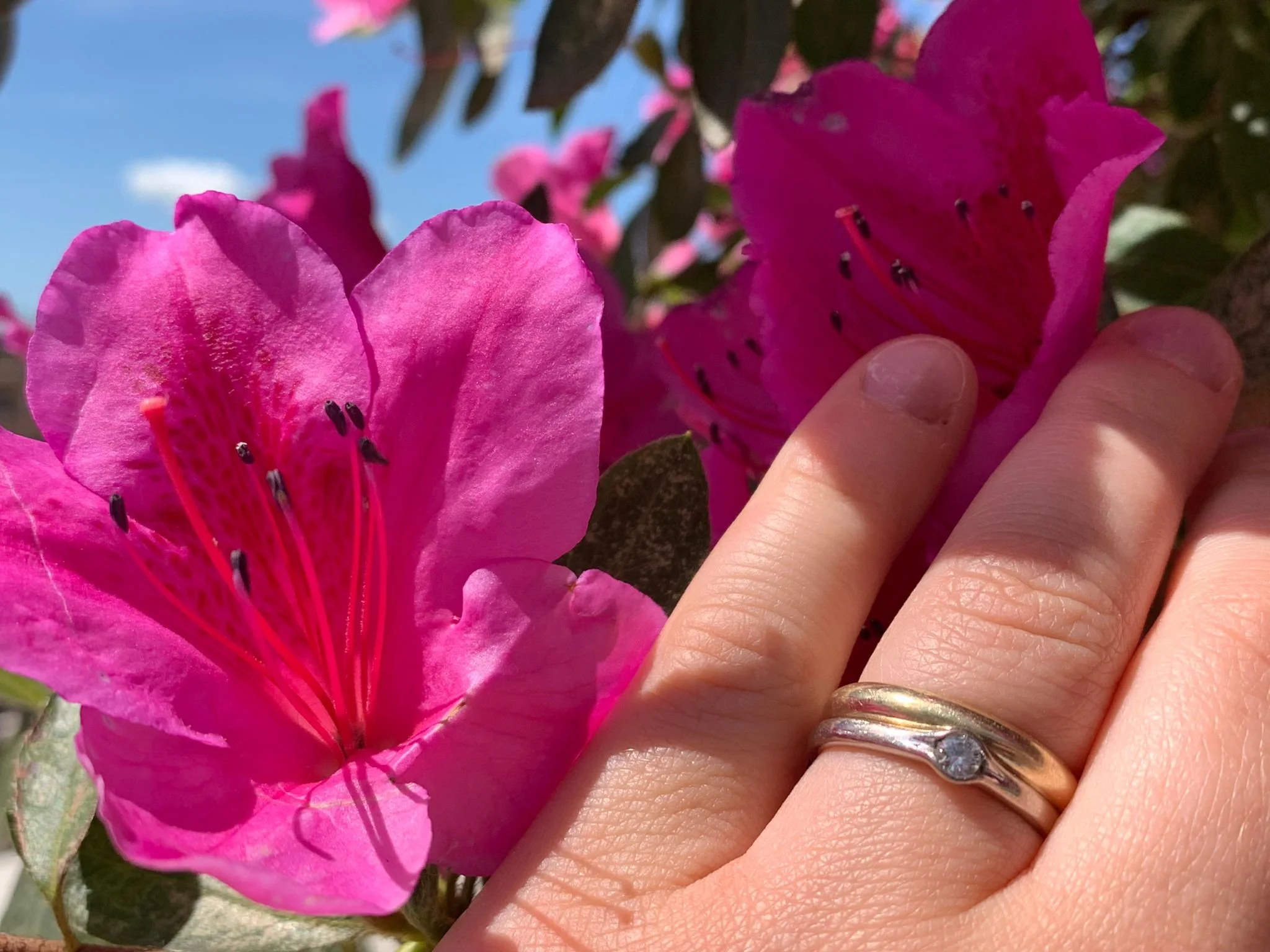 About — MINDFUL BRIDE CLUB