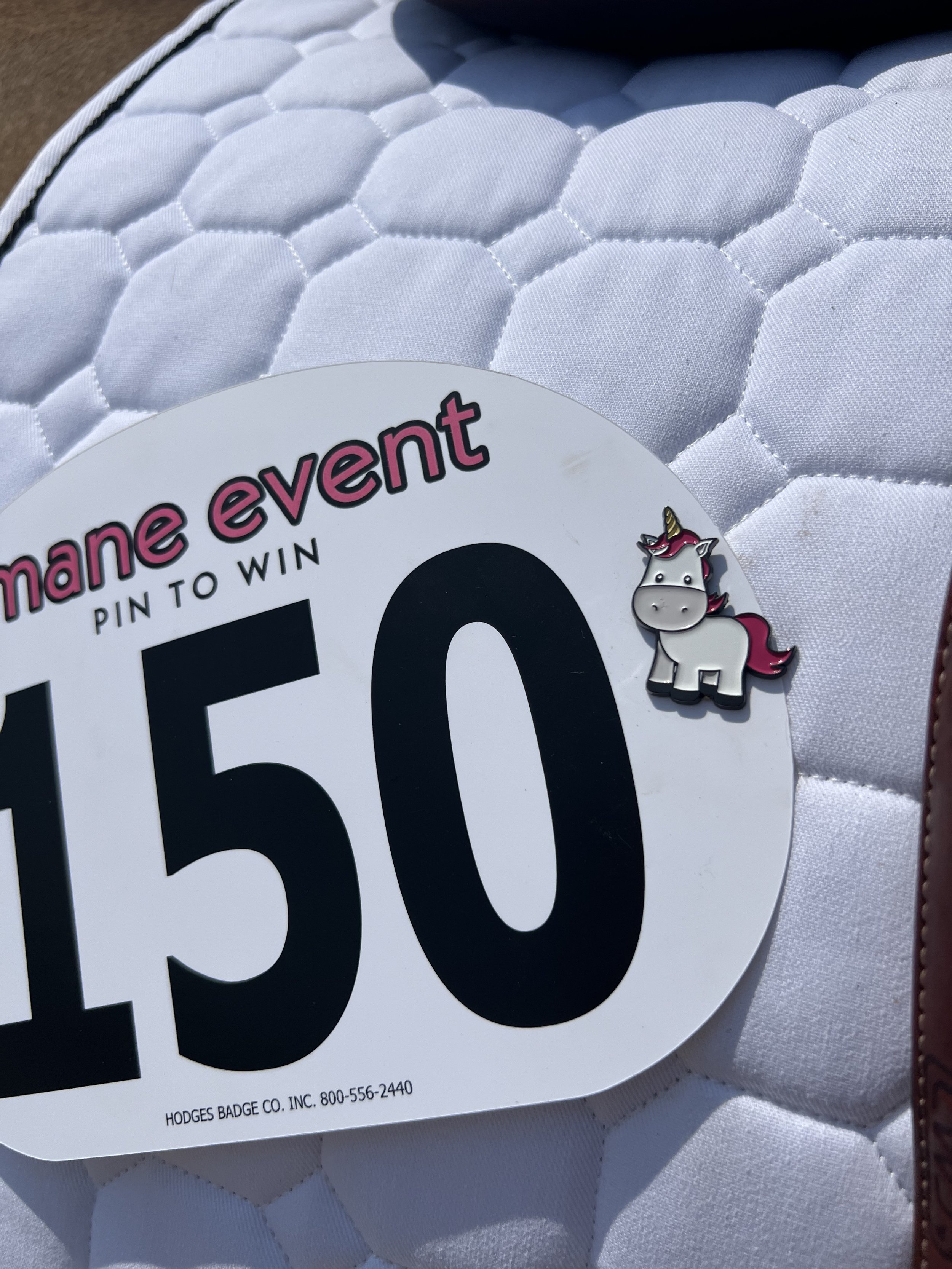 mane event mane event - Mane Event Enamel Horse Show Pins how to remove ...