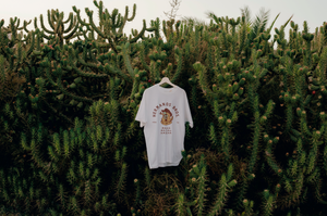 Tumbleweed Design Studio