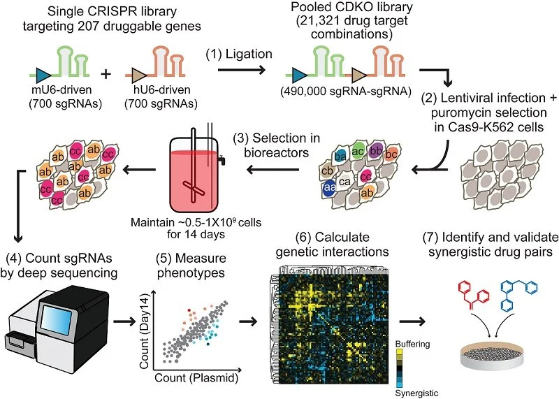 Technology Development For High Throughput Funcitonal Genomics Bassik Lab