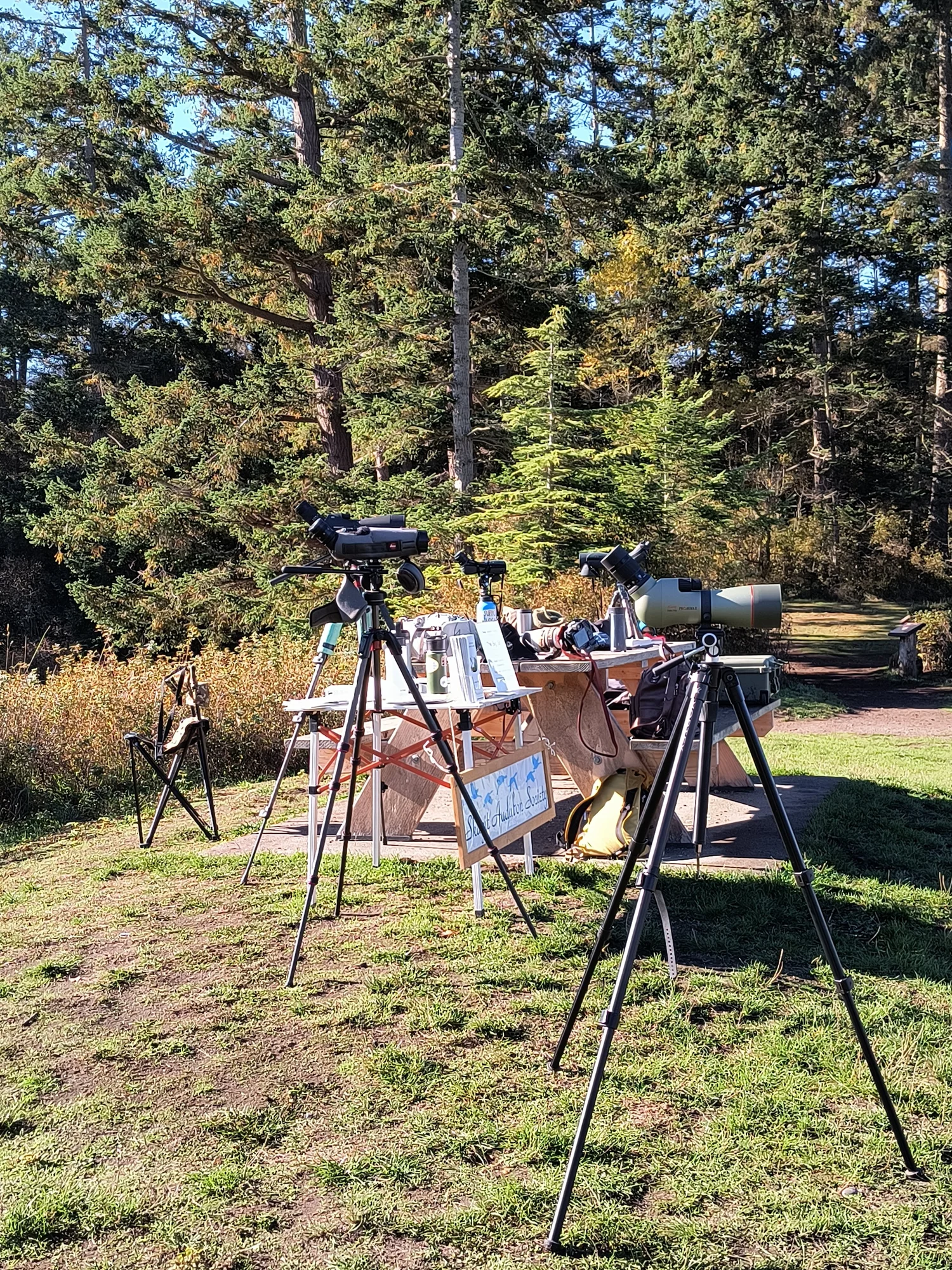 Field Trips — Skagit Audubon Society