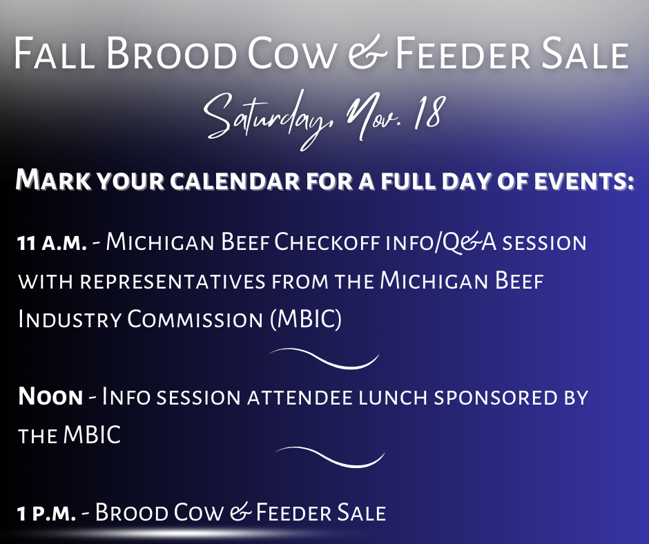 Feeder Sales — Ravenna Auction, LLC