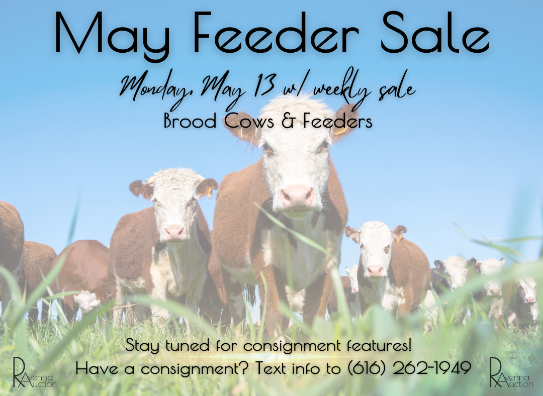 Feeder Sales — Ravenna Auction, LLC
