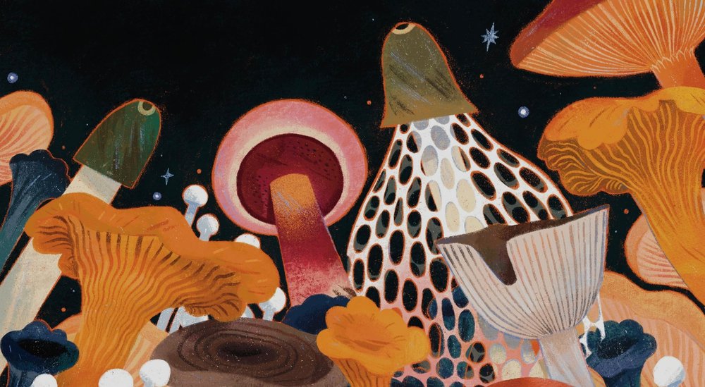 Jamie Green Illustration