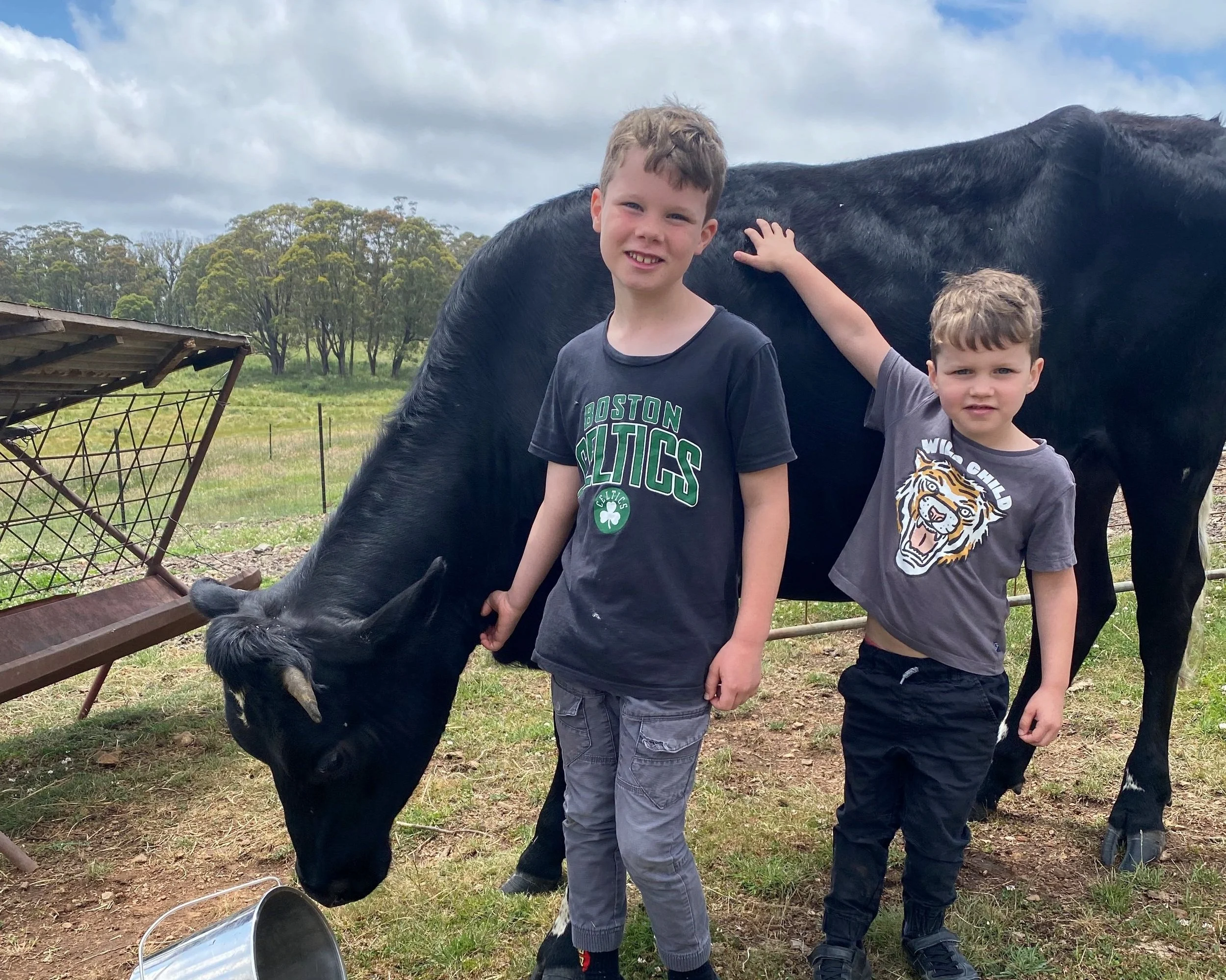 "Fun-filled Farm Parties: Memorable Adventures for Kids!" — Kenzell ...