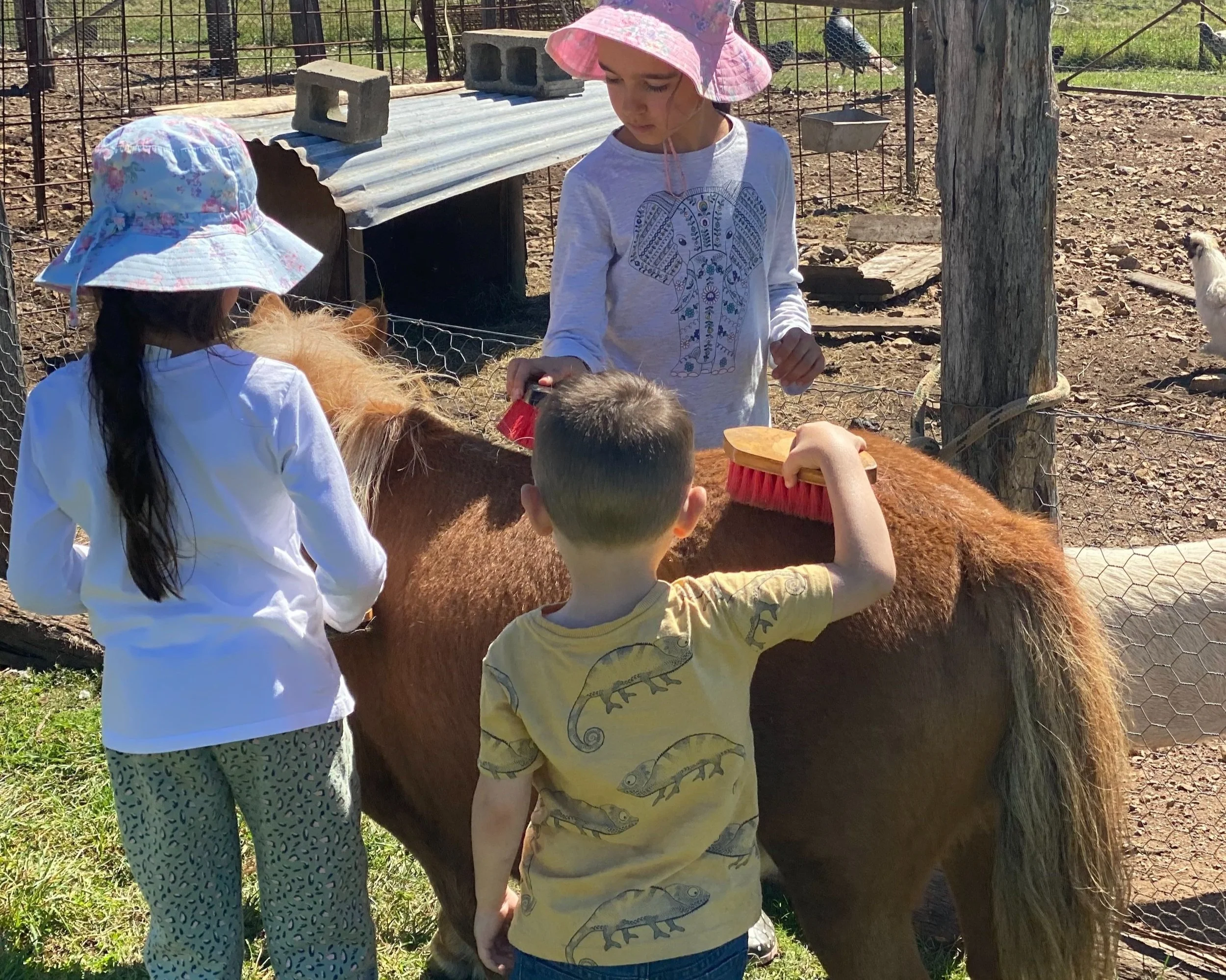 "Fun-filled Farm Parties: Memorable Adventures for Kids!" — Kenzell ...