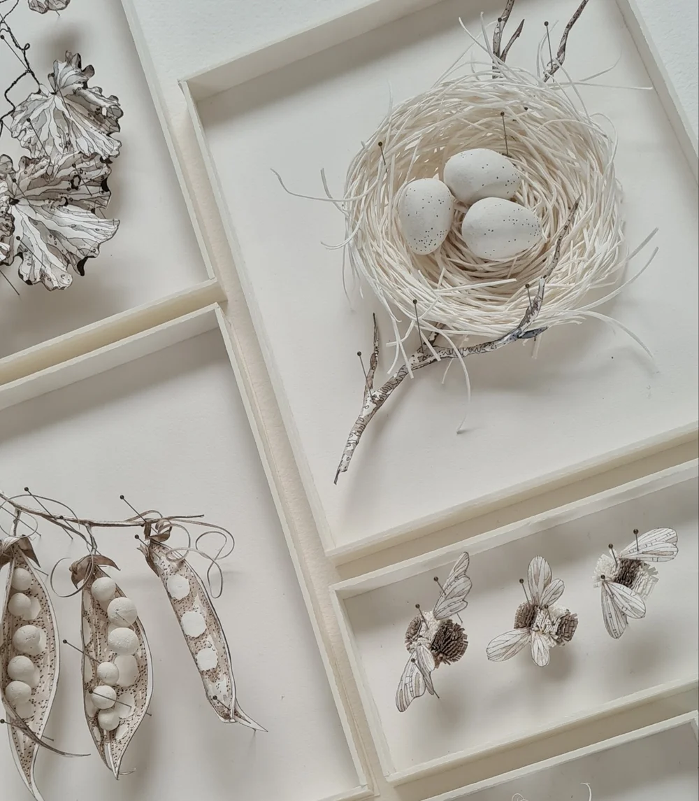 PAPER NATURE — Unearthed.