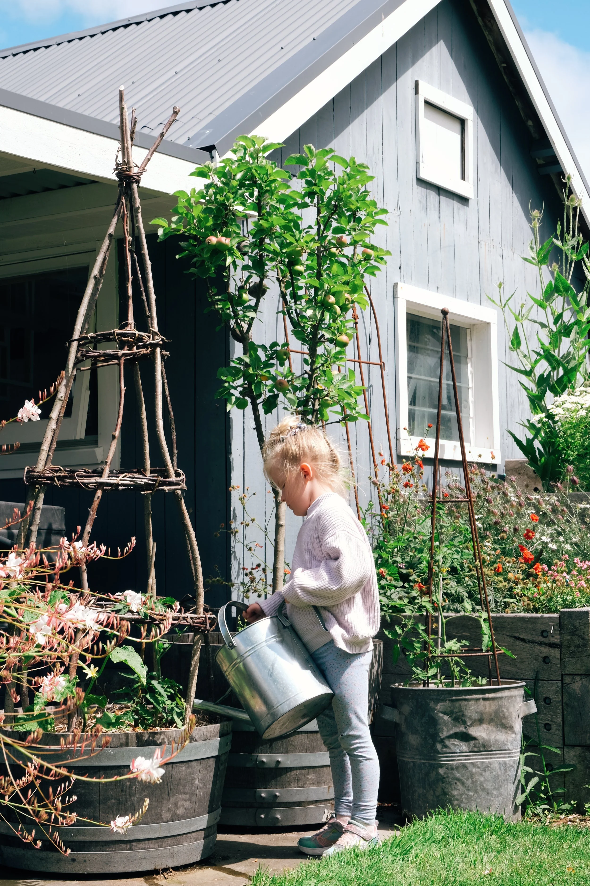 PLANNING FOR AND WATERING IN THE DRY — Unearthed.